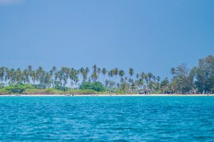 The Ultimate Trat Travel Guide